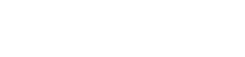 Bramer Auction & Realty